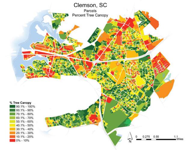 Clemson's new urban land department director aims to keep city shady