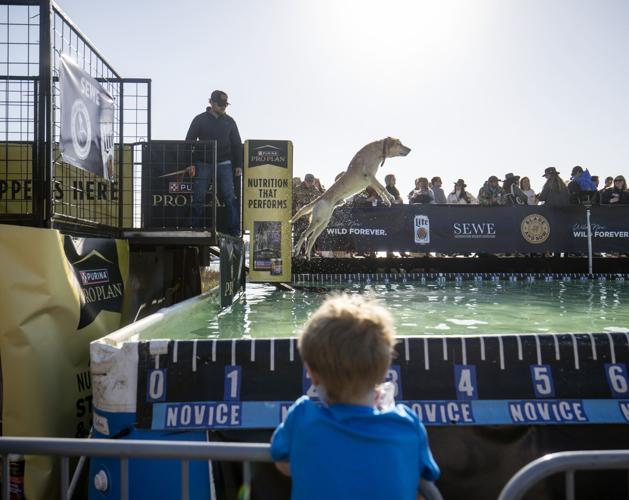 Photos: DockDogs makes a splash at SEWE