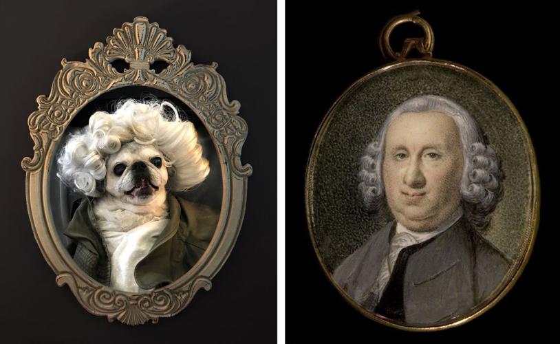 Charleston 'art bites': Museum pug's artistic portraits get internet ...