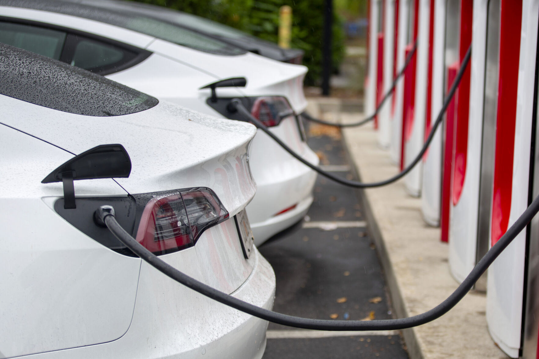 Accused North Charleston Tesla station arsonist granted bond