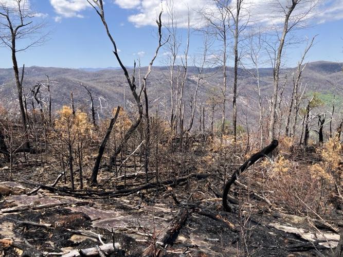 A look at what the Table Rock mountain wildfire left behind