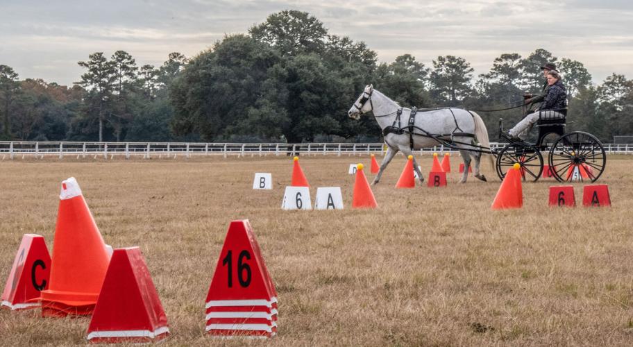 American Driving Society holds annual meeting in Aiken