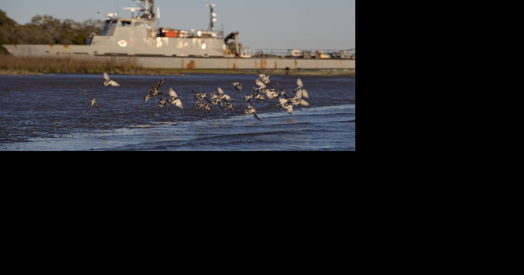 SCDNR trying to remove former Navy vessel on Johns Island