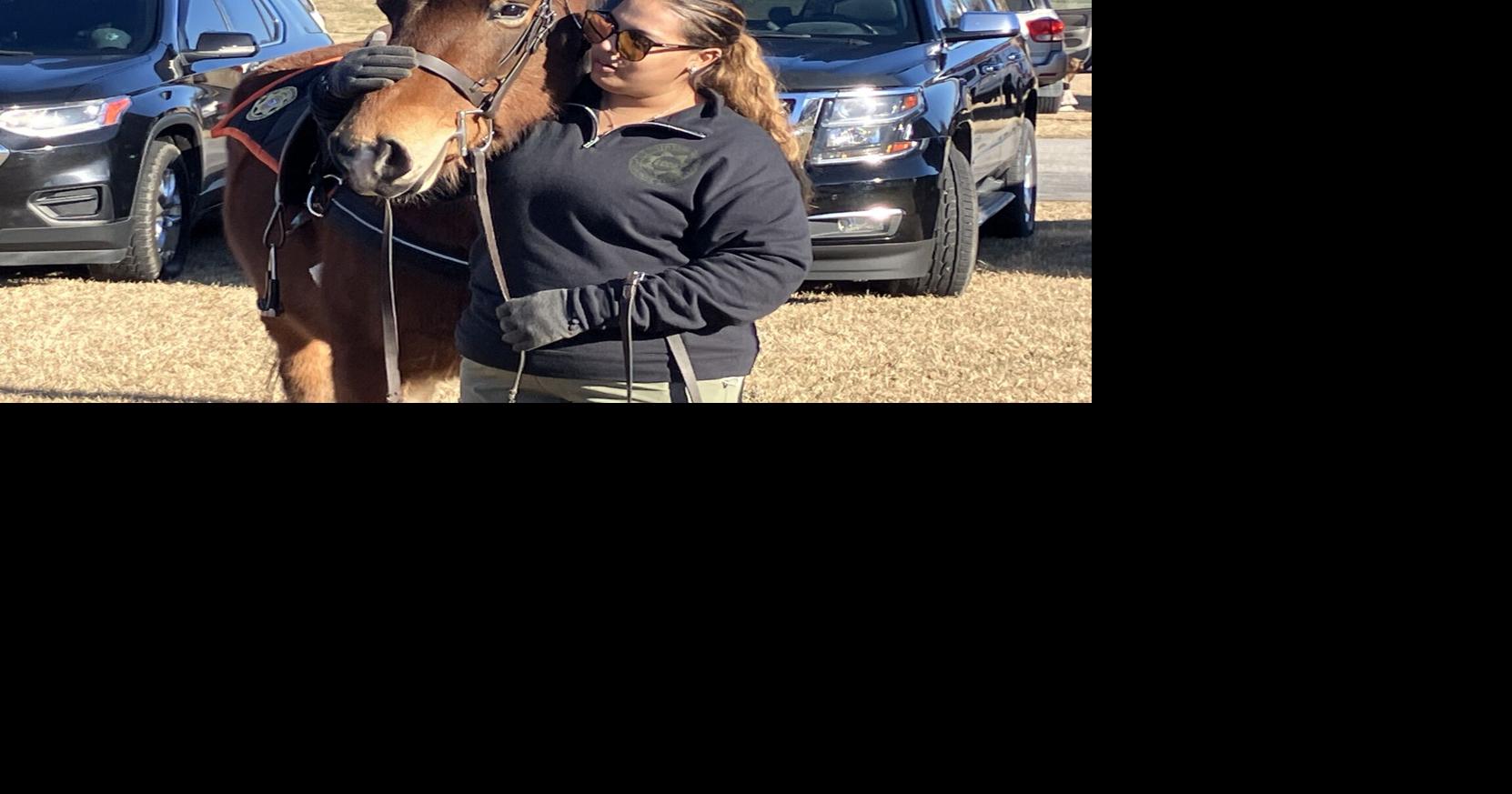 Nation's first coroner horse unit launches in Lancaster
