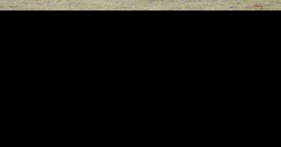 December Mom of the Month: Ashlee Landreth | Mom of the Month ...