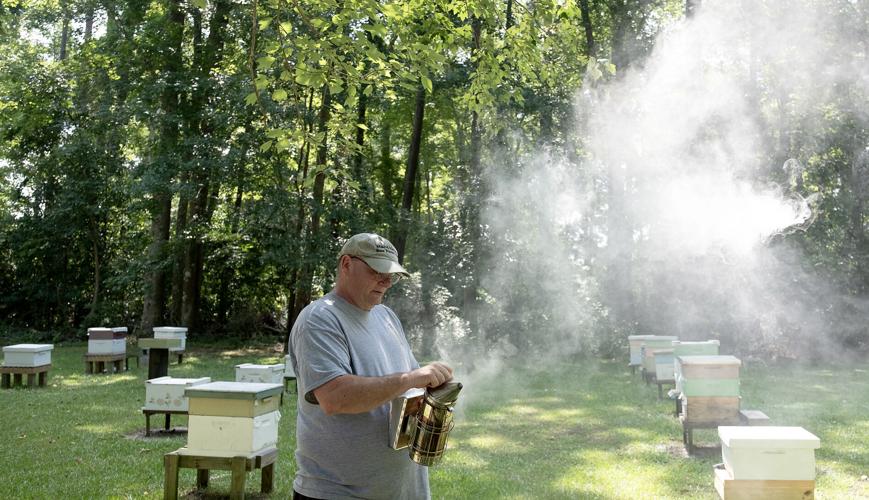 Grand Strand beekeepers highlight beekeeping dos and don'ts