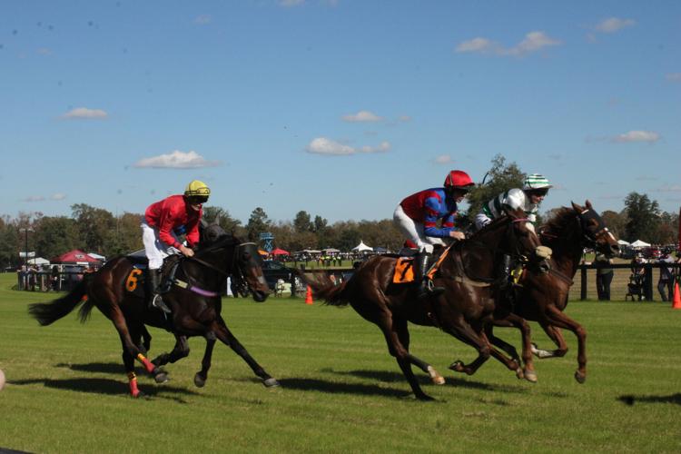 Spectators flock to 30th Aiken Fall Steeplechase Championship