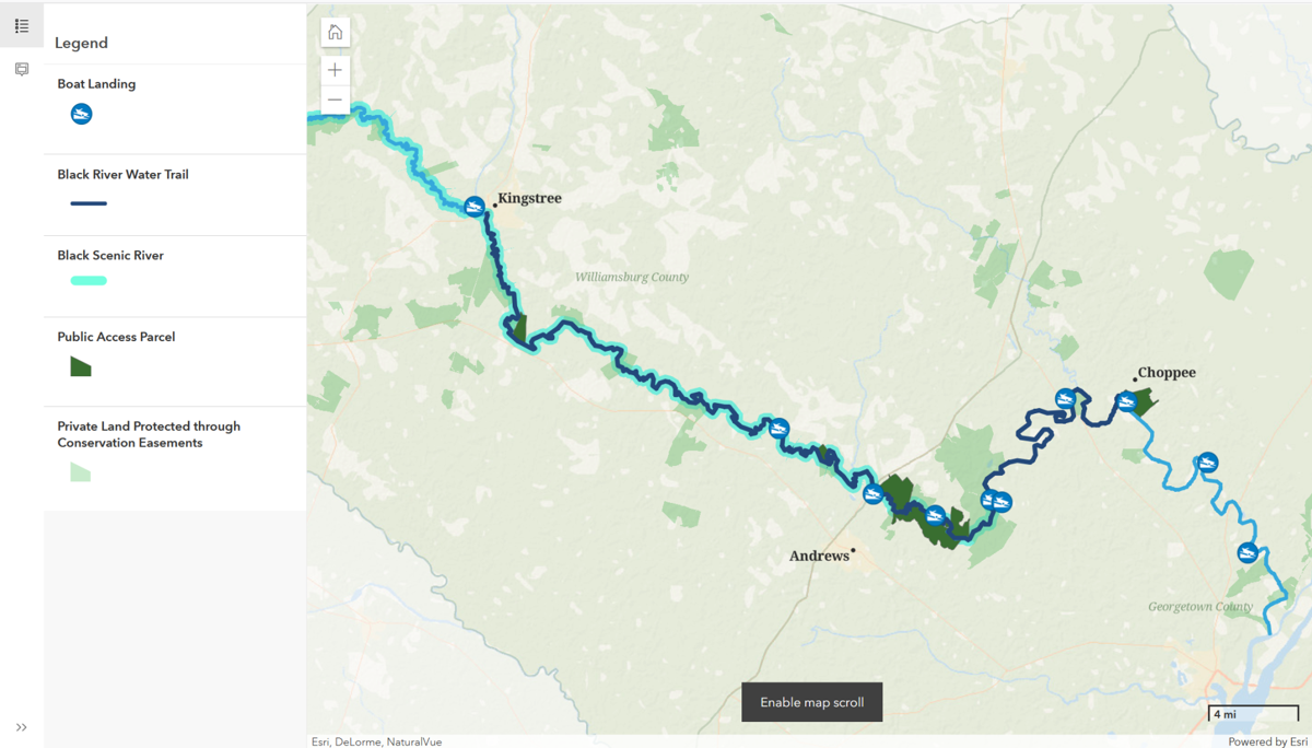 Black River Cypress Preserve near Andrews protects more than 1,400 ...