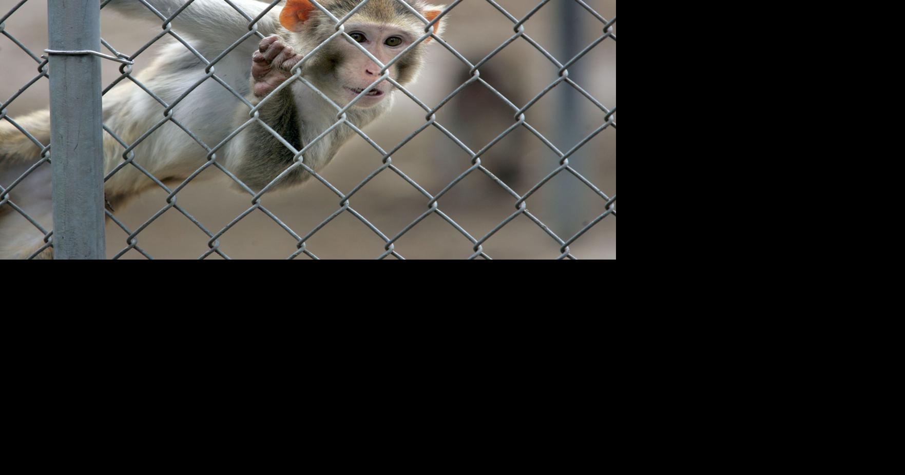 PETA threatens to sue Waccatee Zoo over squalid conditions, animal neglect