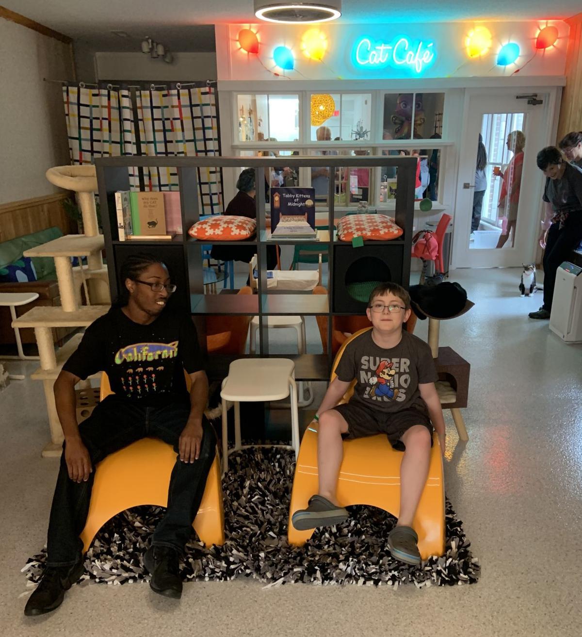 Purrrfect setting: Georgetown cafe serves up furry friends | News ...