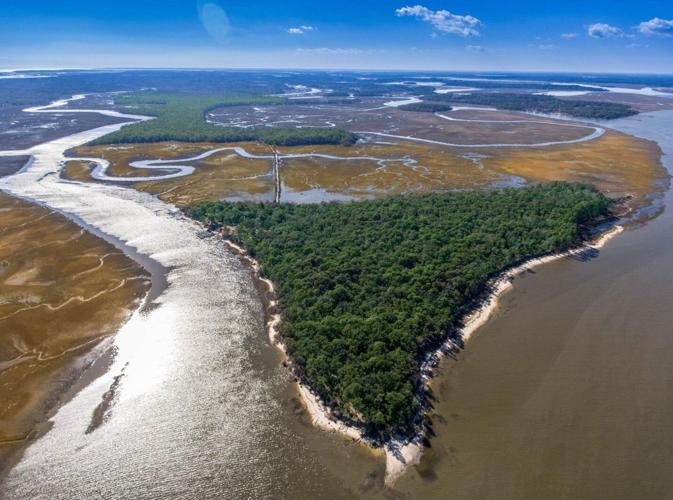 Conservation League director Faith Rivers James steps down