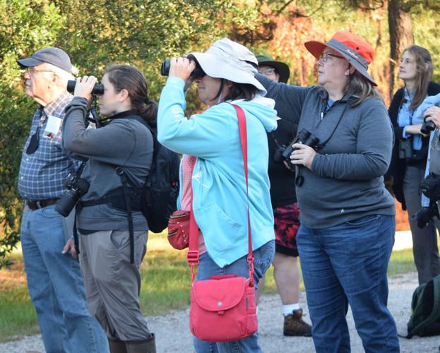 Augusta-Aiken Audubon Society offers adventures in birding and nature