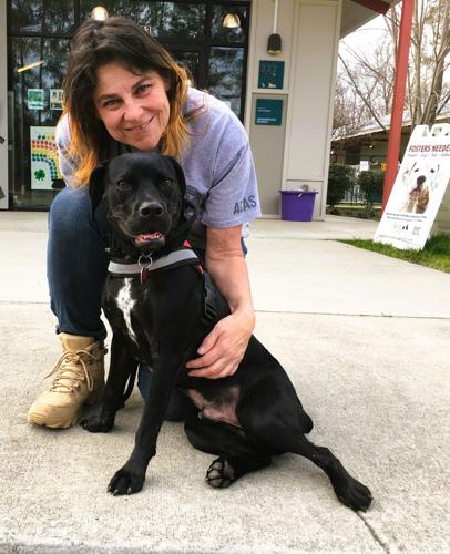 Rule of threes helps adopters prepare for new pets