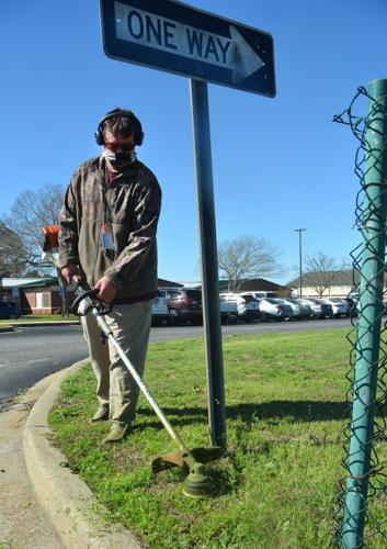 Trees make you sneeze? Annual pollen blast coats Aiken area