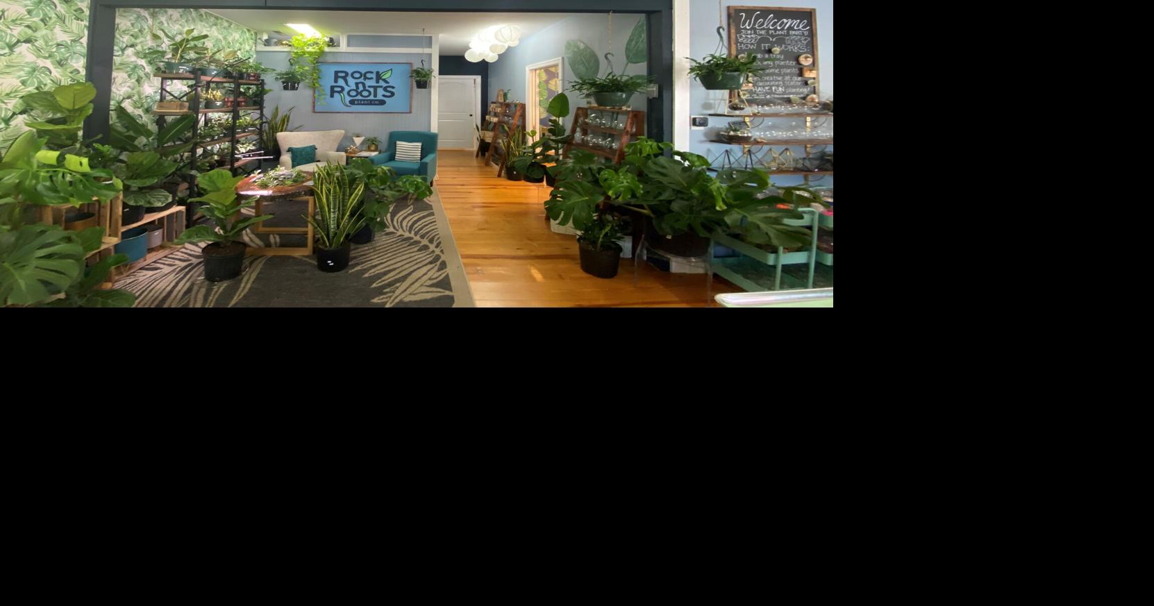 New Pawleys plant shop, Rock n' Roots, opens at The Village Shops ...