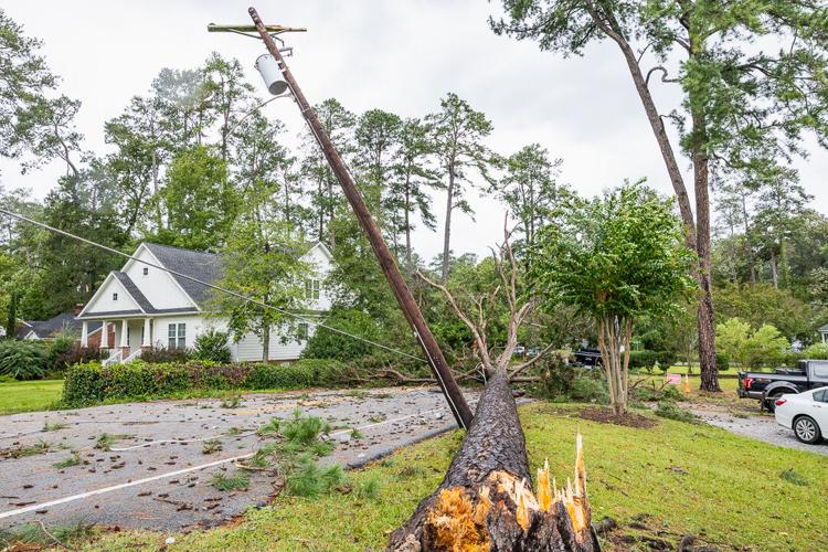 Photos: Helene thrashes Forest Acres near Columbia, downing trees and ...