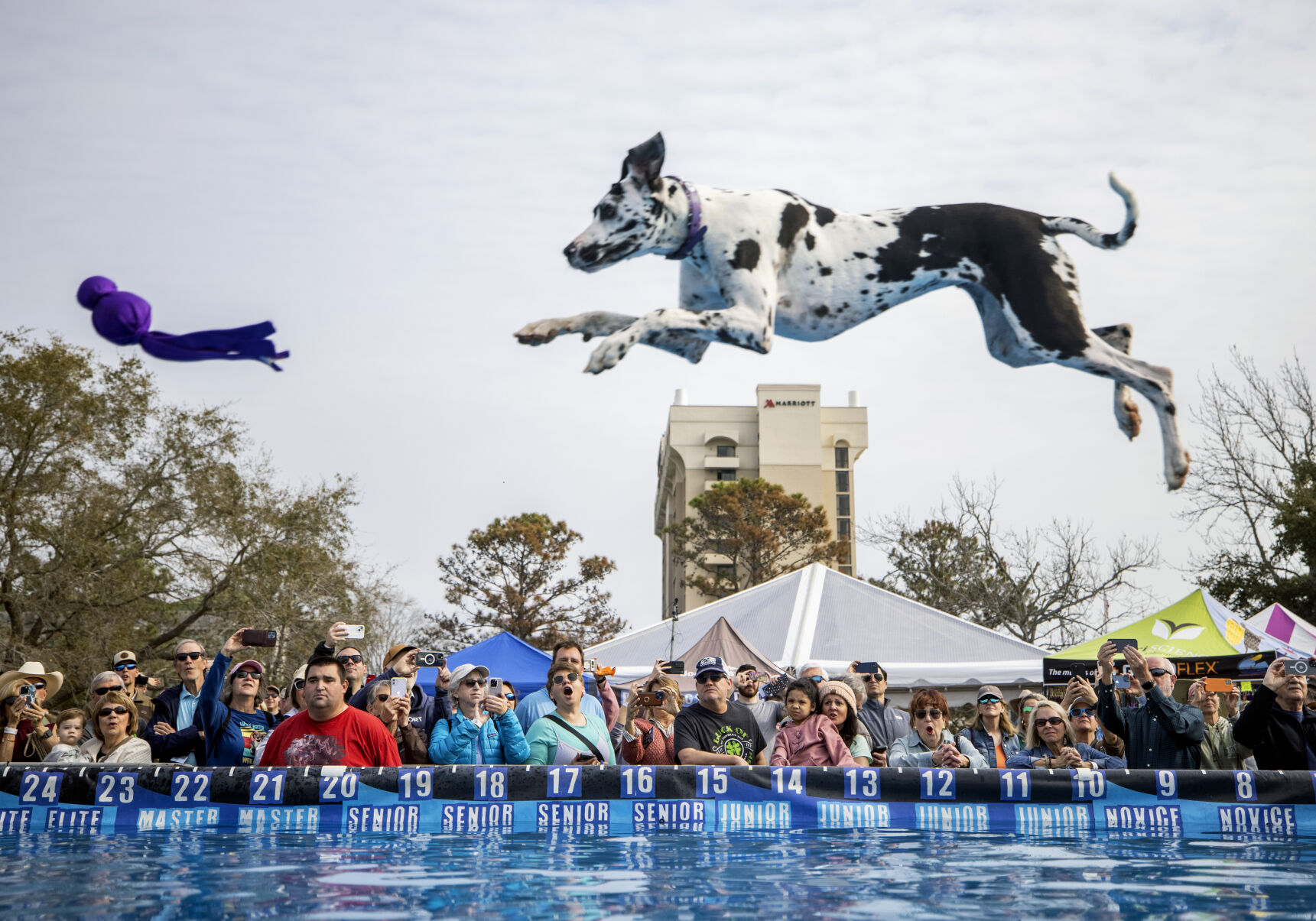 Charleston's SEWE sets 'a new bar' for wildlife event | Business ...