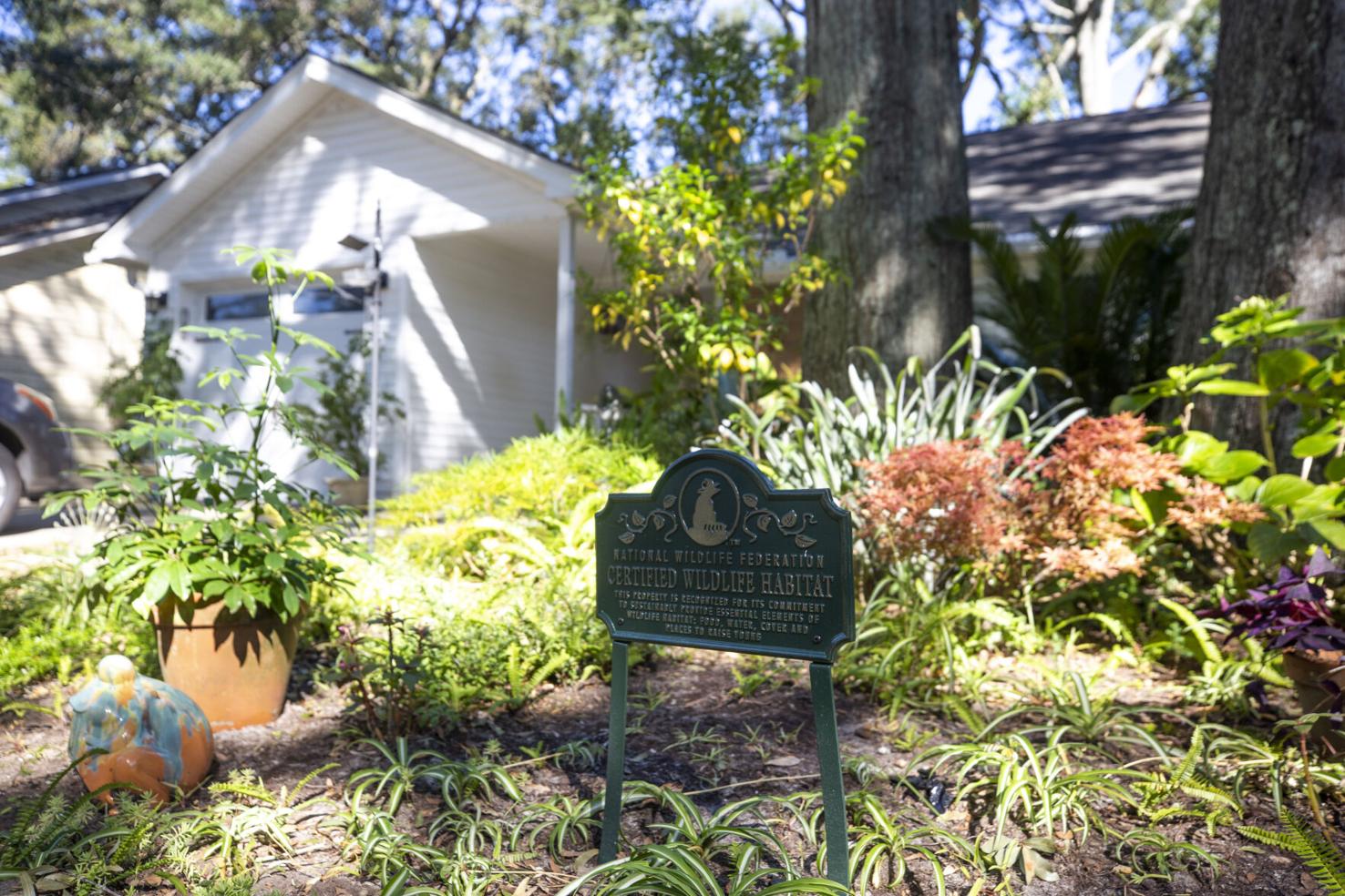 Page C11 | E‑Paper – The Post and Courier | Full Digital SC’s Top Newspaper