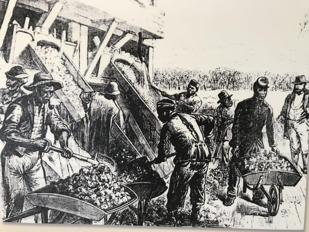 SC's forgotten phosphate industry spurred transformations at home and ...