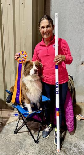New Ellenton dog prepares for world-class agility challenge