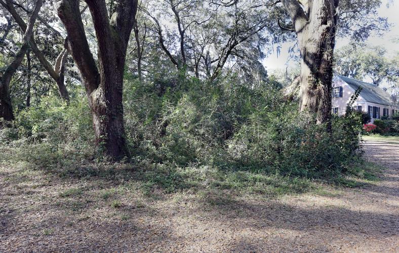 Fort Pemberton on James Island could become Charleston's newest park