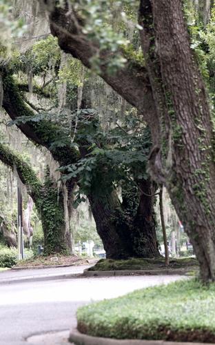 Conway plans to host Porchfest 2026 in February