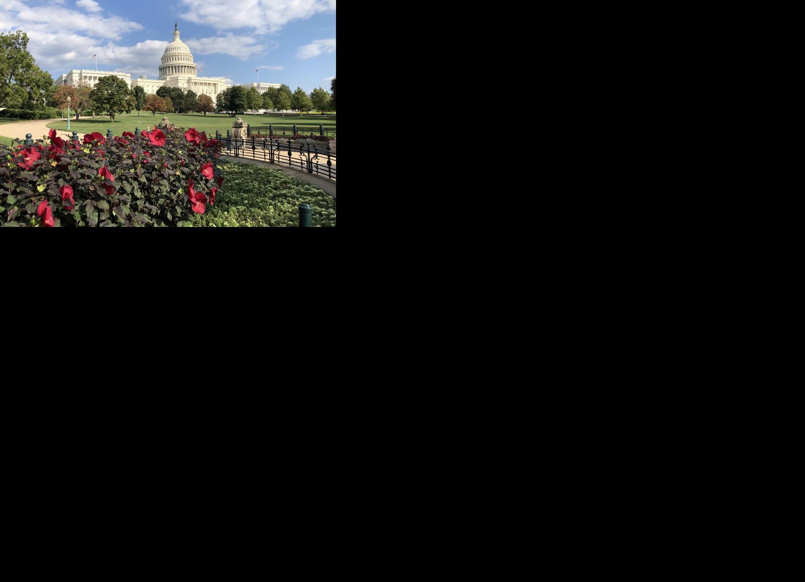 Jill Hruby, former Sandia director, confirmed as next NNSA boss