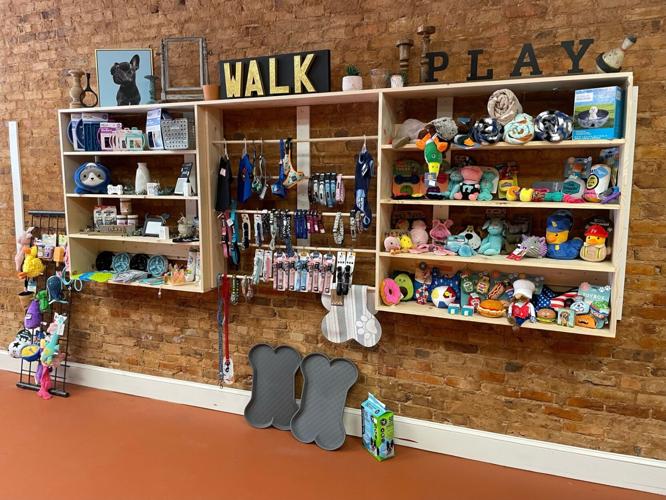 The Golden Dog pet store opens in downtown Gaffney