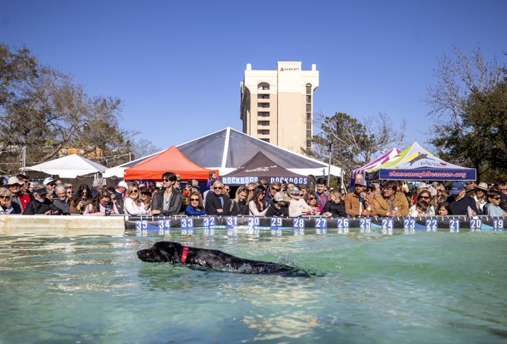 Photos: DockDogs makes a splash at SEWE