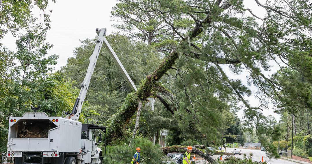 Photos: Helene thrashes Forest Acres near Columbia, downing trees and ...