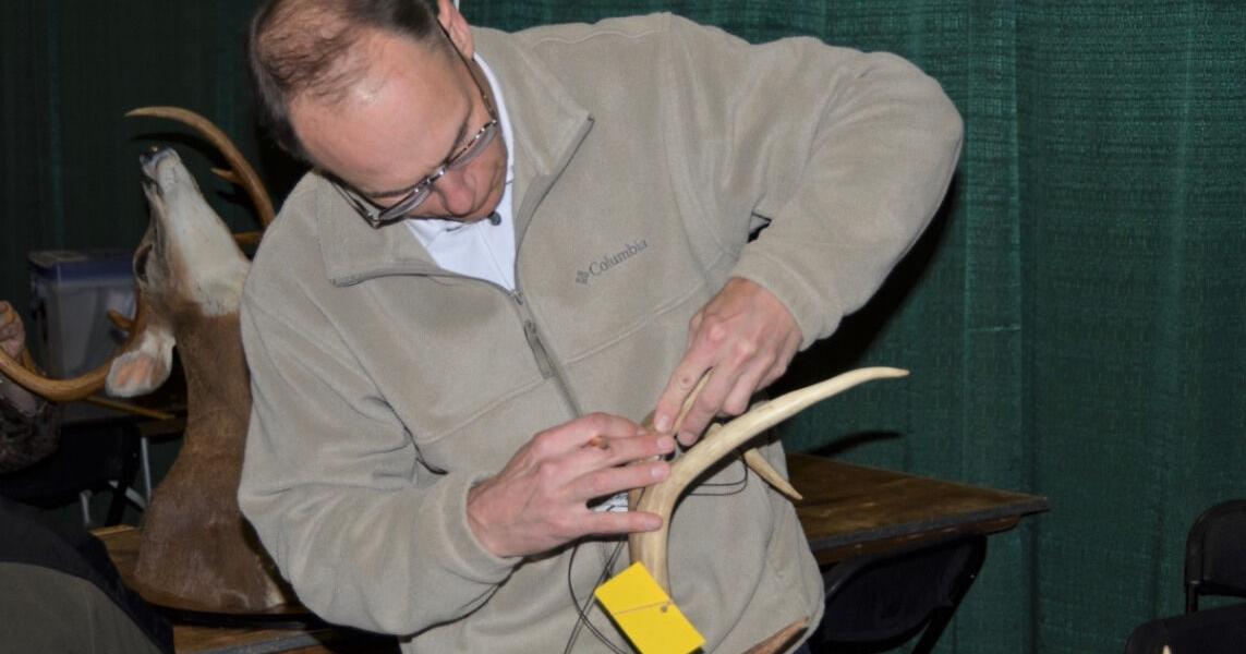 March brings deer antler scoring sessions in South Carolina