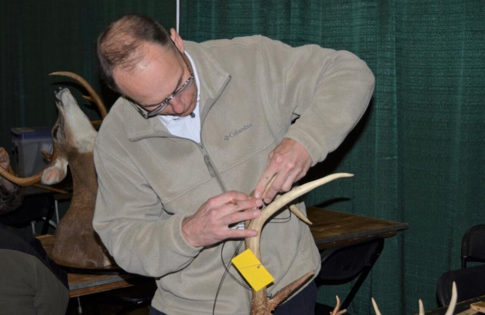 March brings deer antler scoring sessions in South Carolina