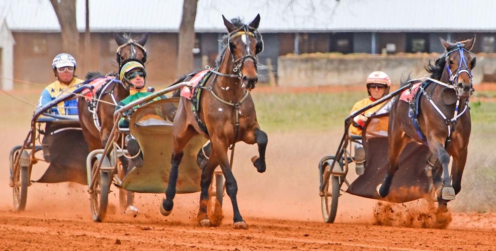 Beautiful day brings tailgaters out in force to McGhees' Mile Harness Races