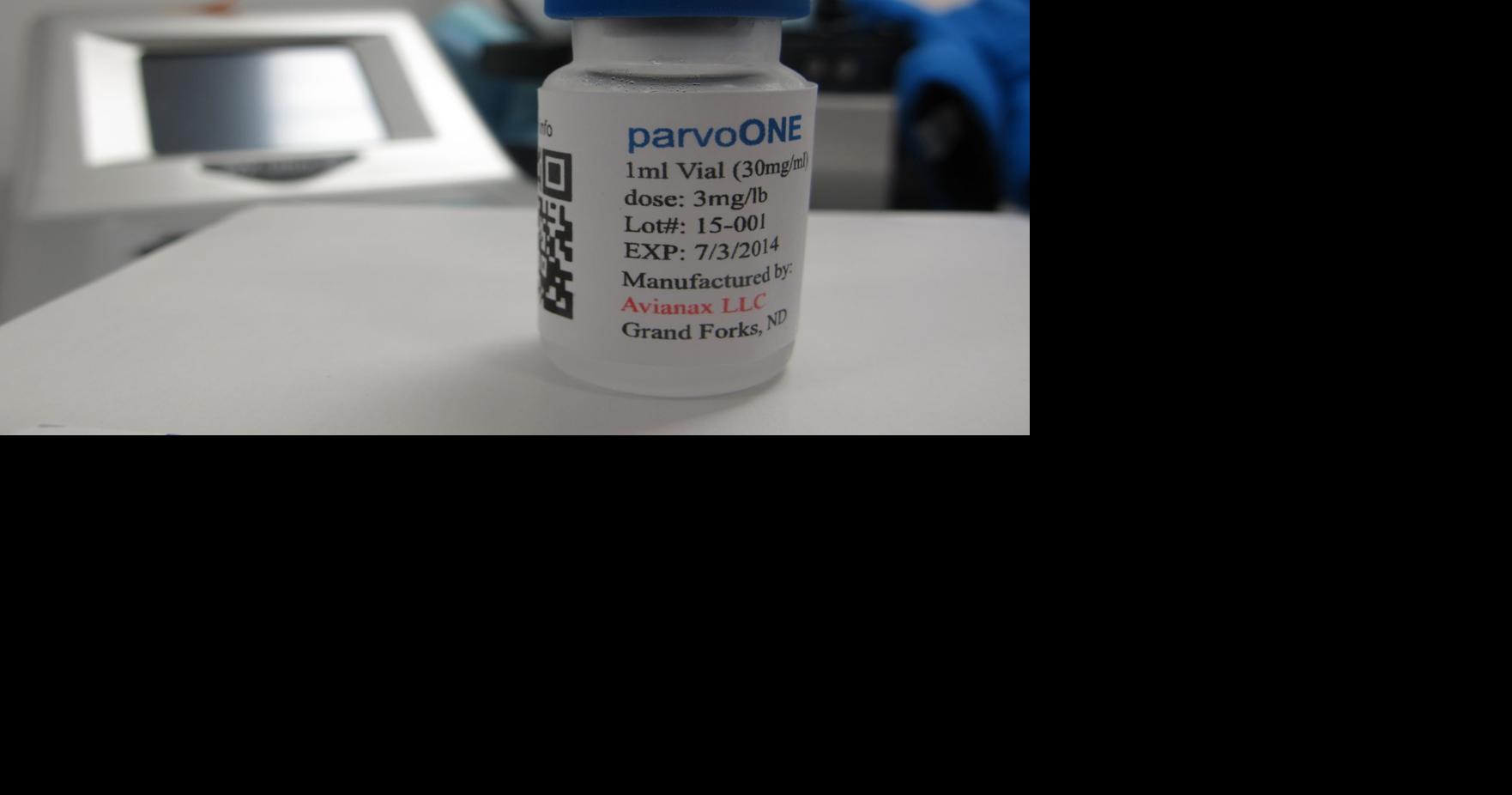 A puppy’s grisly death, legal decisions divide Union County