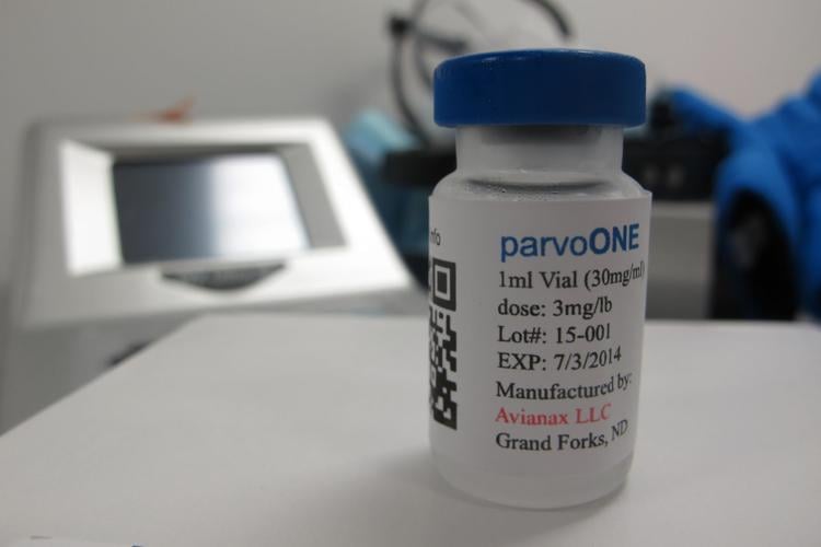 A puppy’s grisly death, legal decisions divide Union County