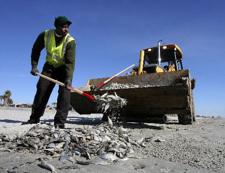 Page A1 | E‑Paper – The Post and Courier | Full Digital SC’s Top Newspaper