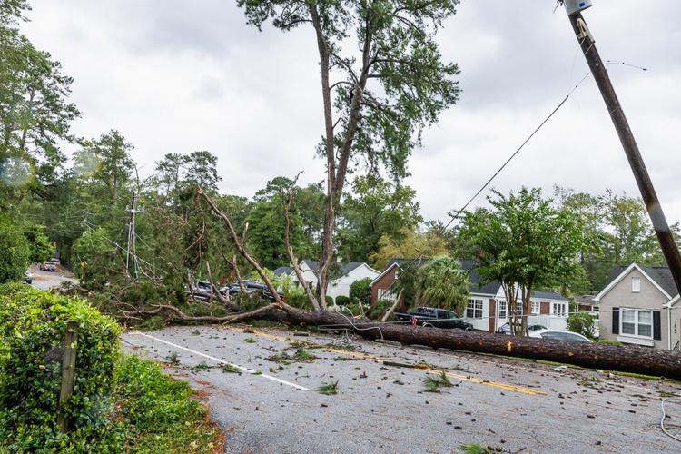 Photos: Helene thrashes Forest Acres near Columbia, downing trees and ...