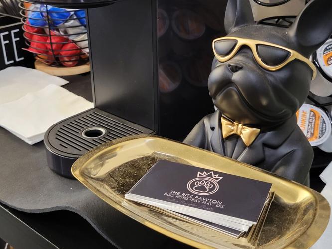 'Where dogs are royalty': Ritz Pawton opens in North Augusta