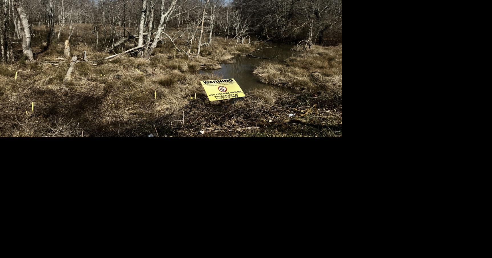 Environmental groups win $1.5 million settlement in Plantation Pipeline ...