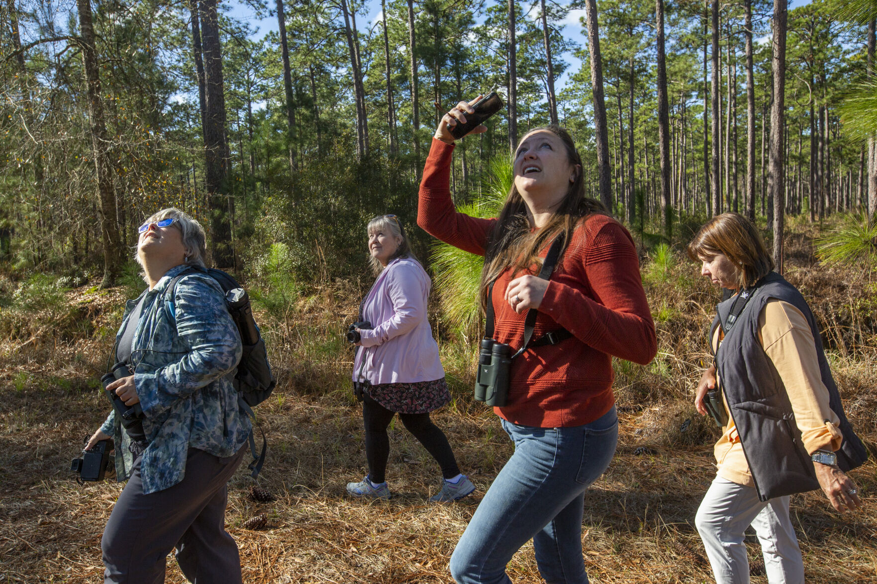 Neglected and underfunded, imperiled SC species barely 'limping along ...