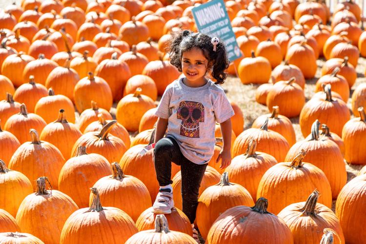 Boone Hall Pumpkin Patch kicks off Sept. 27