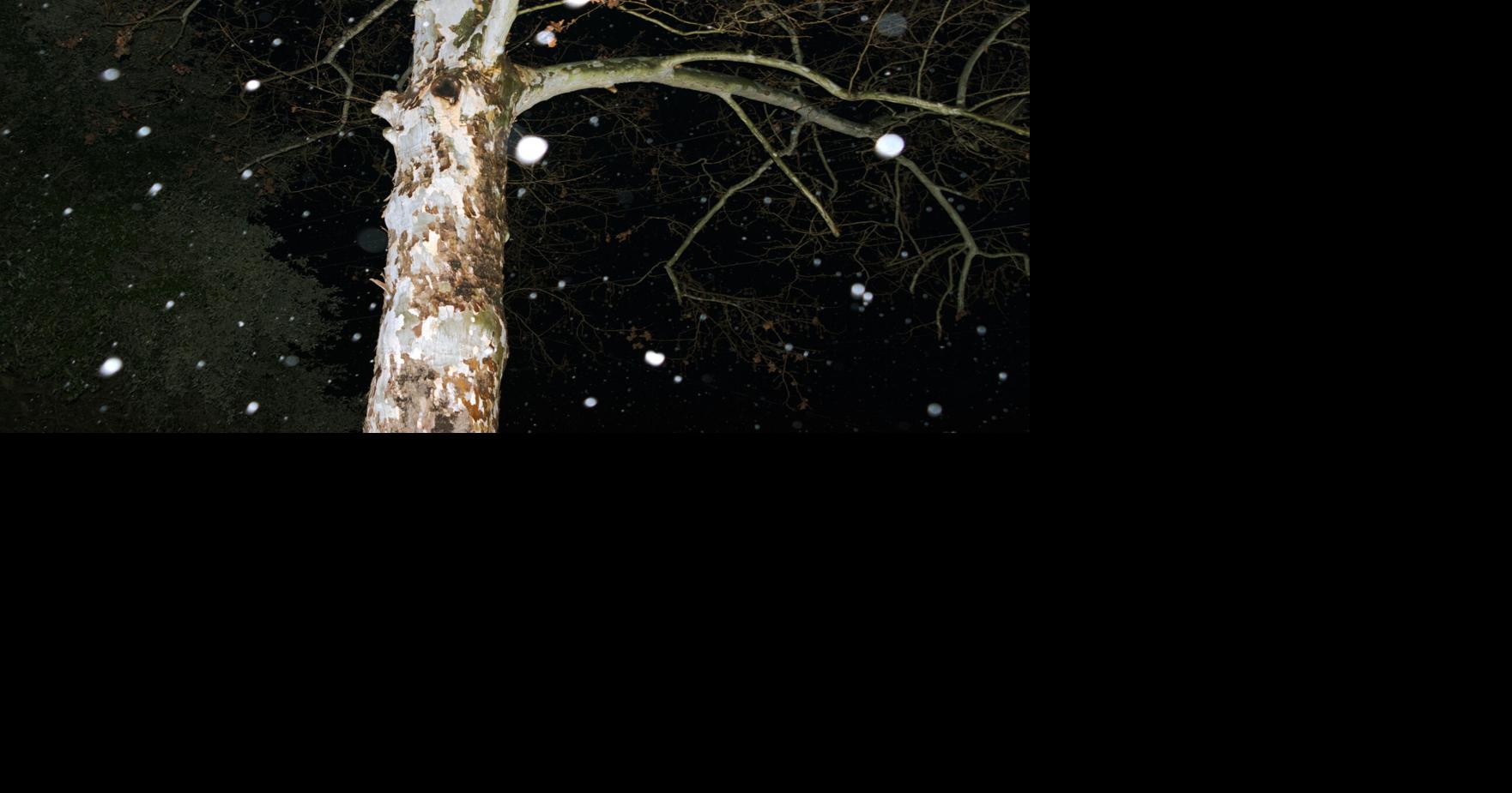 Photos: Winter weather in Aiken County