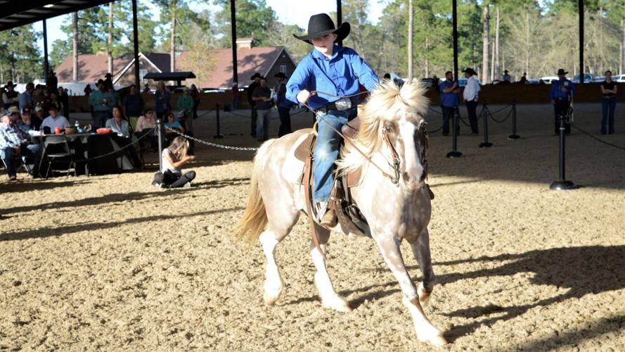 Southern Belle Classic horse auction held at Aiken's Stable View Farms