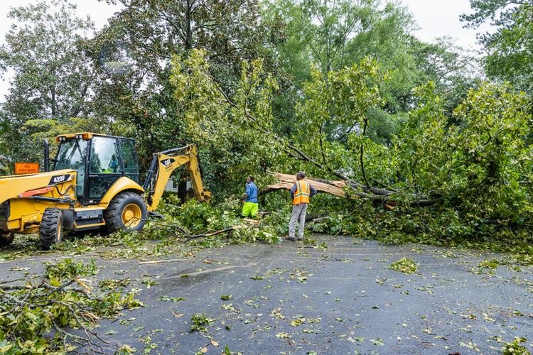 Photos: Helene thrashes Forest Acres near Columbia, downing trees and ...