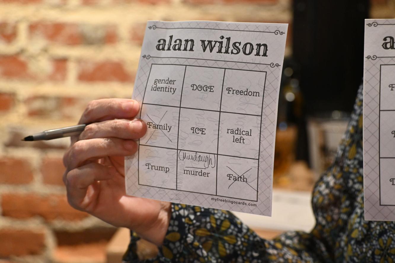 SC AG Alan Wilson denies ignoring Mace's abuse claims