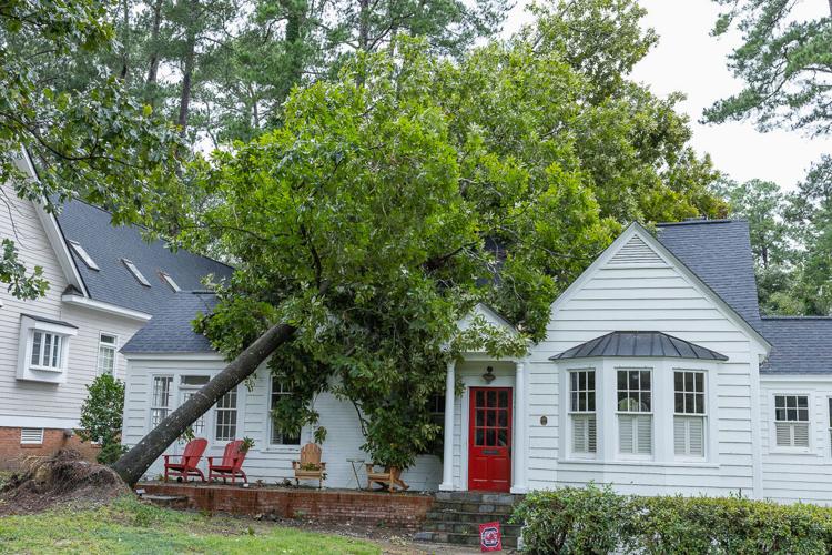 Photos: Helene thrashes Forest Acres near Columbia, downing trees and ...