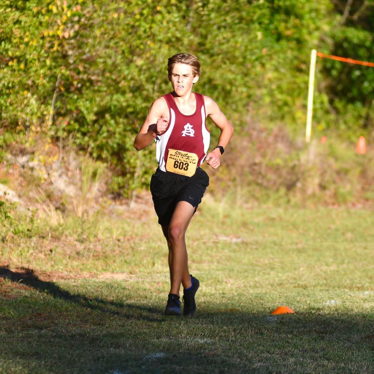 Region champions lead all-area cross country team | Sports ...