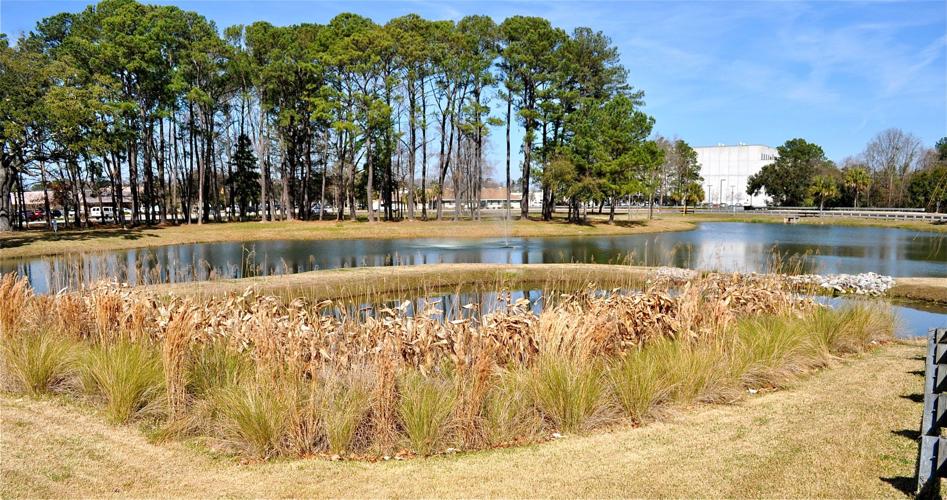Experts devising ways to make stormwater ponds more natural, functional