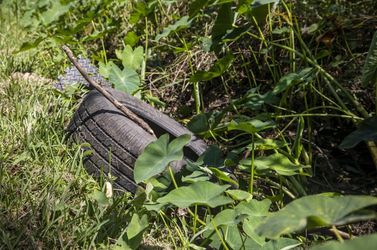 Who to contact when ditches get clogged with debris