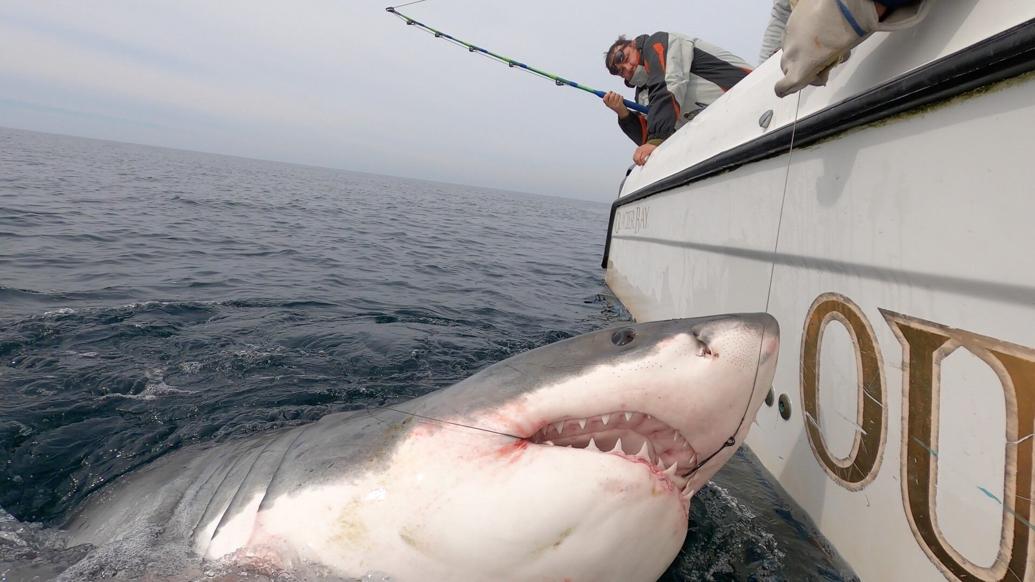 Swimmer suffers apparent shark bite off Hilton Head beach